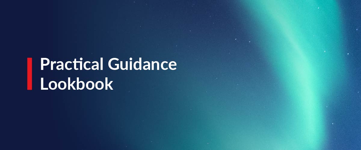 Download now | Practical Guidance Lookbook | LexisNexis®